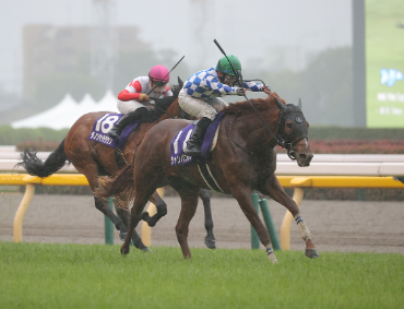 NHKマイルカップ2024 調教診断